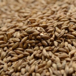 Two-Row Base Malt at Salem Brew Supply | Salem, Oregon | Salem Brew ...